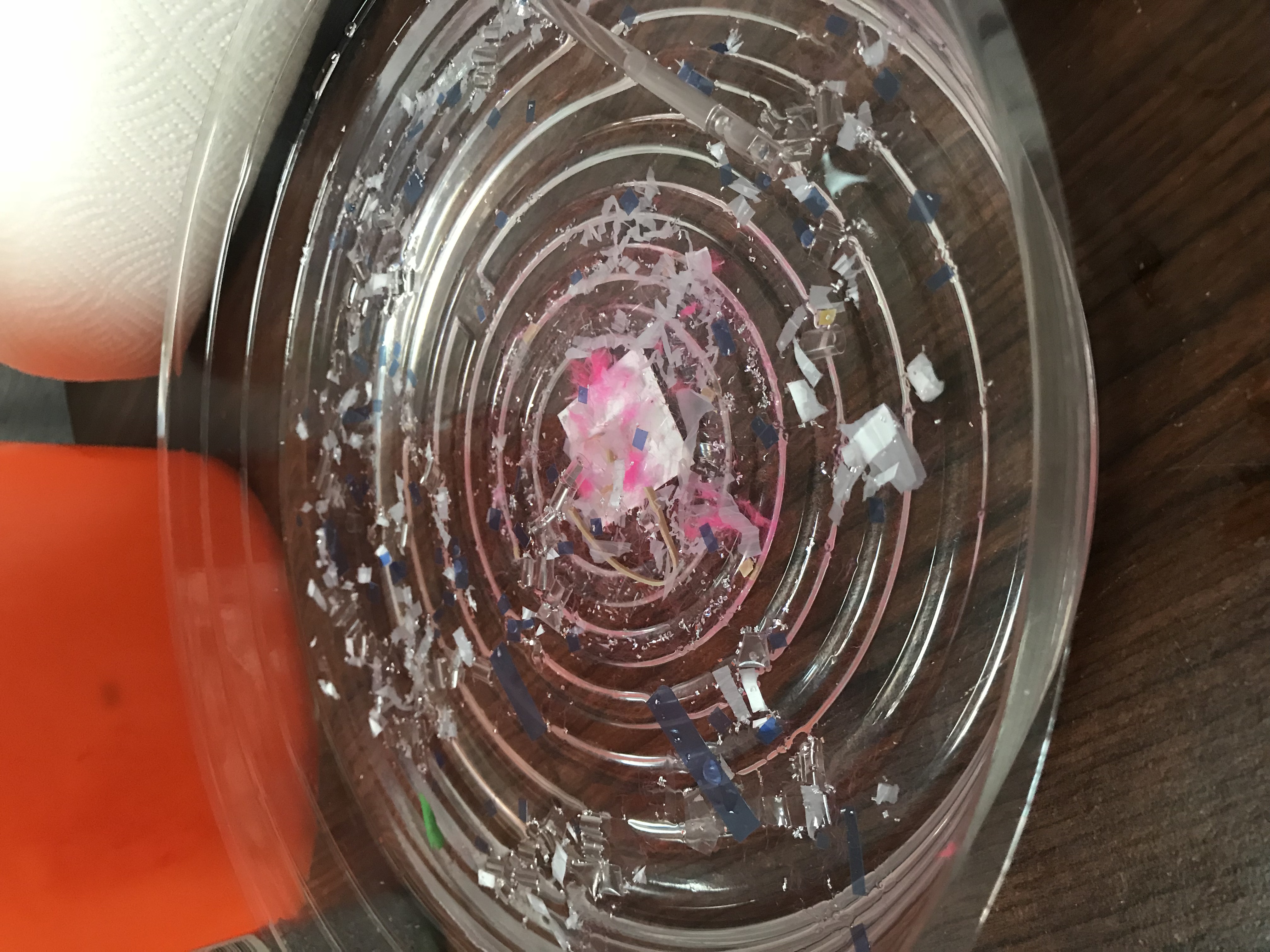 ClassPlasticGyre - Learning is Messy
